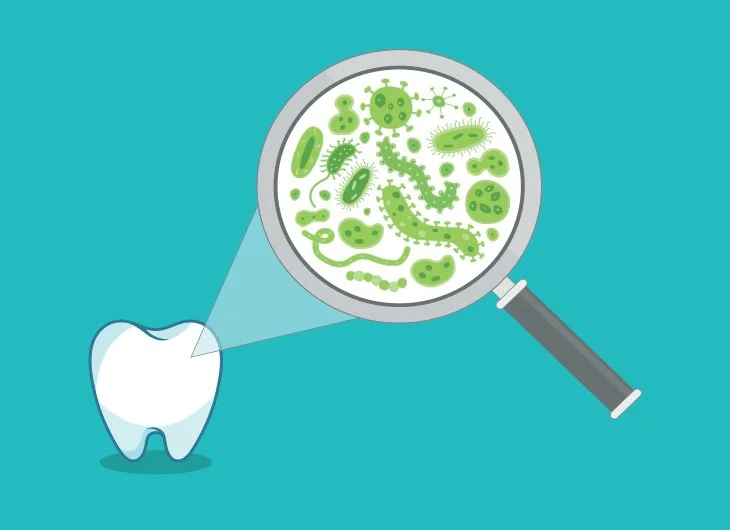 What Bacteria Lives In A Human Mouth? | AP Smilecare | Blackburn